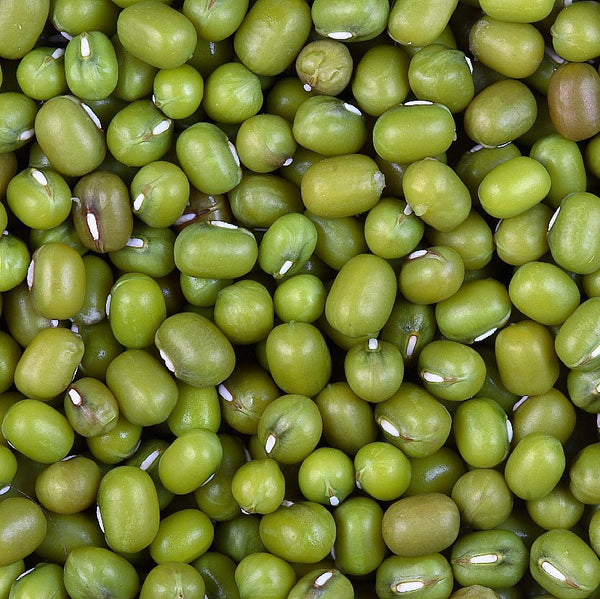 Mung Beans – Absolutely Nuts Australia